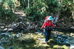 Thorsborne Trail: Hiking Hinchinbrook Island, Australia | Frugal Frolicker