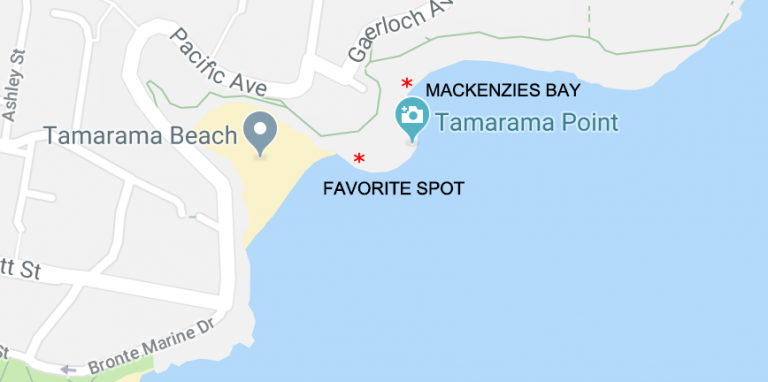 Tamarama & The Mythical Mackenzies Bay Beach | Frugal Frolicker
