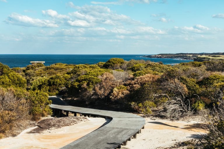 Hiking Sydney: The 15 Best Hikes in Sydney, Australia | Frugal Frolicker