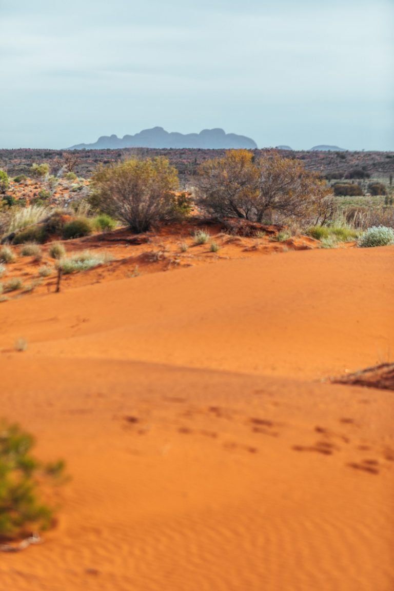 The Best Things To Do In Red Centre, Australia | Frugal Frolicker