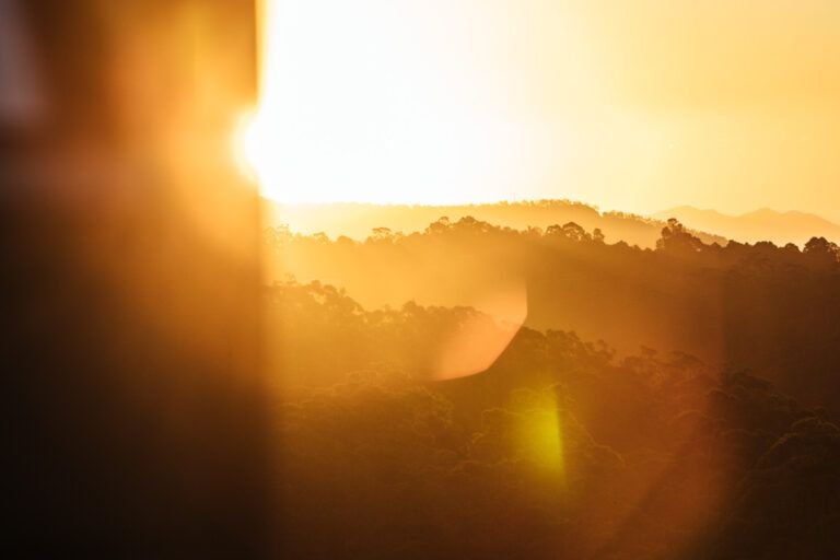 Fyrefly Retreat Tiny House, Gold Coast Australia | Frugal Frolicker