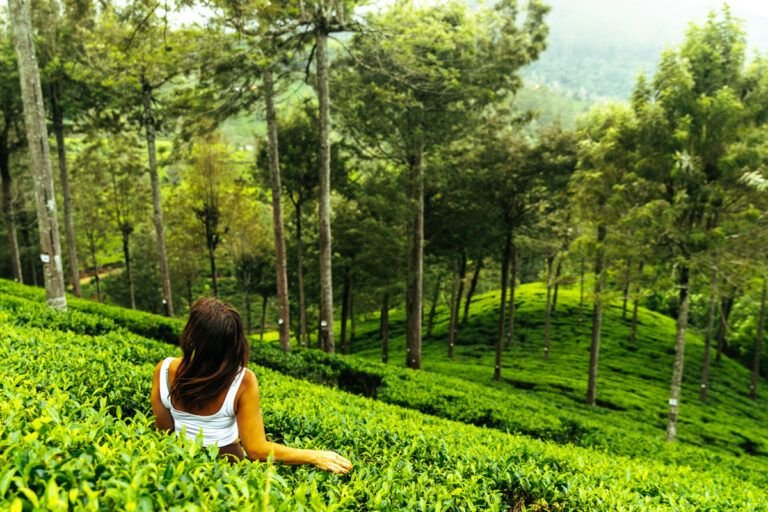 7 Fun Facts About Sri Lanka (You Probably Didn't Know) | Frugal Frolicker